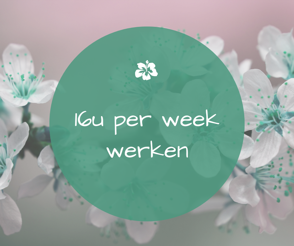 16 uur per week werken – Kim leeft